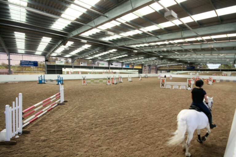 Equine - Reaseheath Business Hub