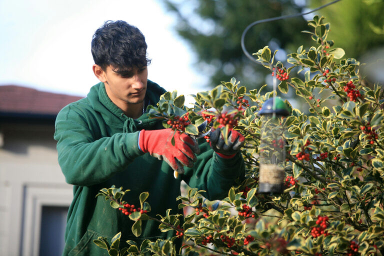 Horticulture Operative - Reaseheath Business Hub