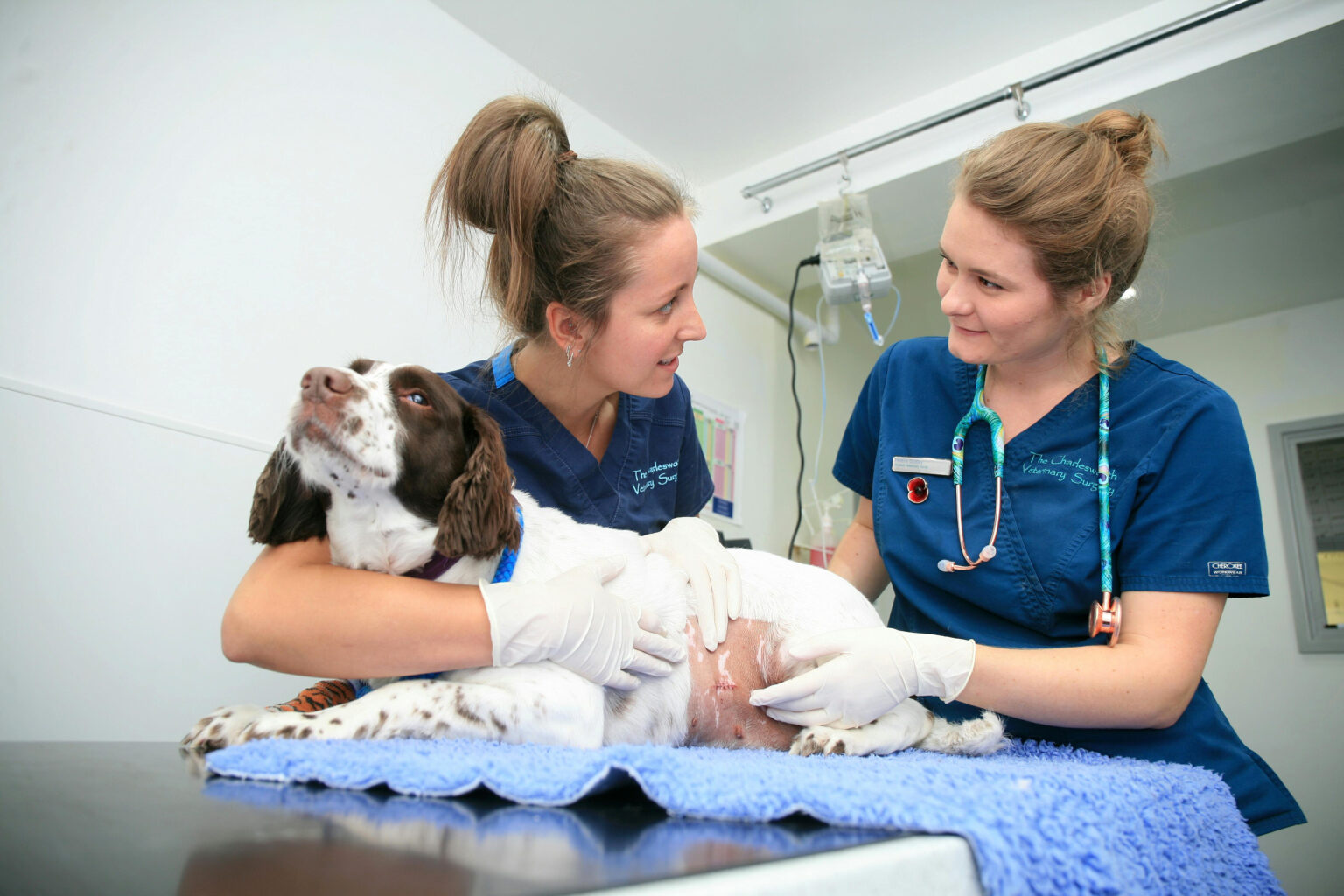 Veterinary Nursing - Reaseheath Business Hub